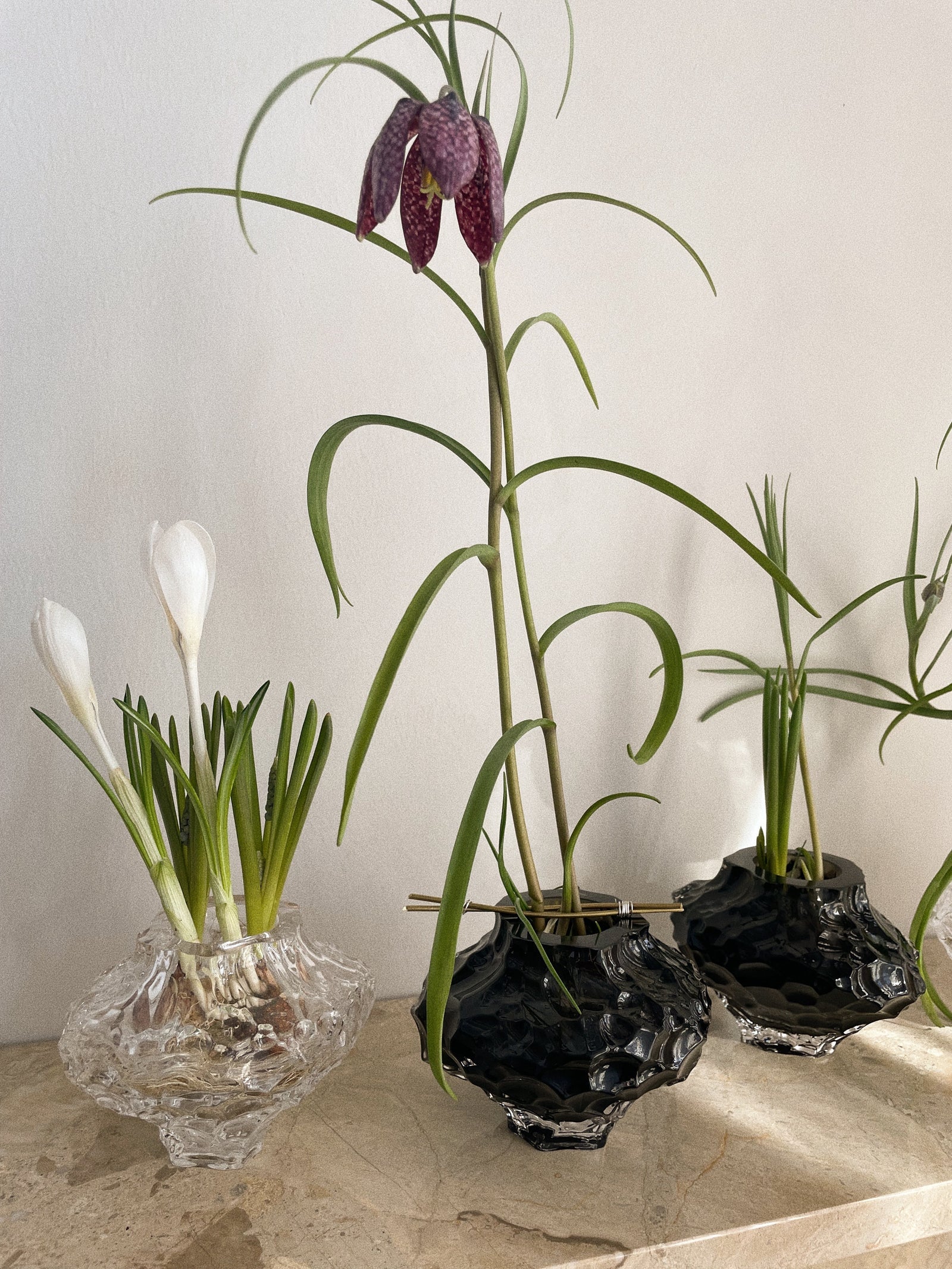 Vase Canyon – POPO SHOP